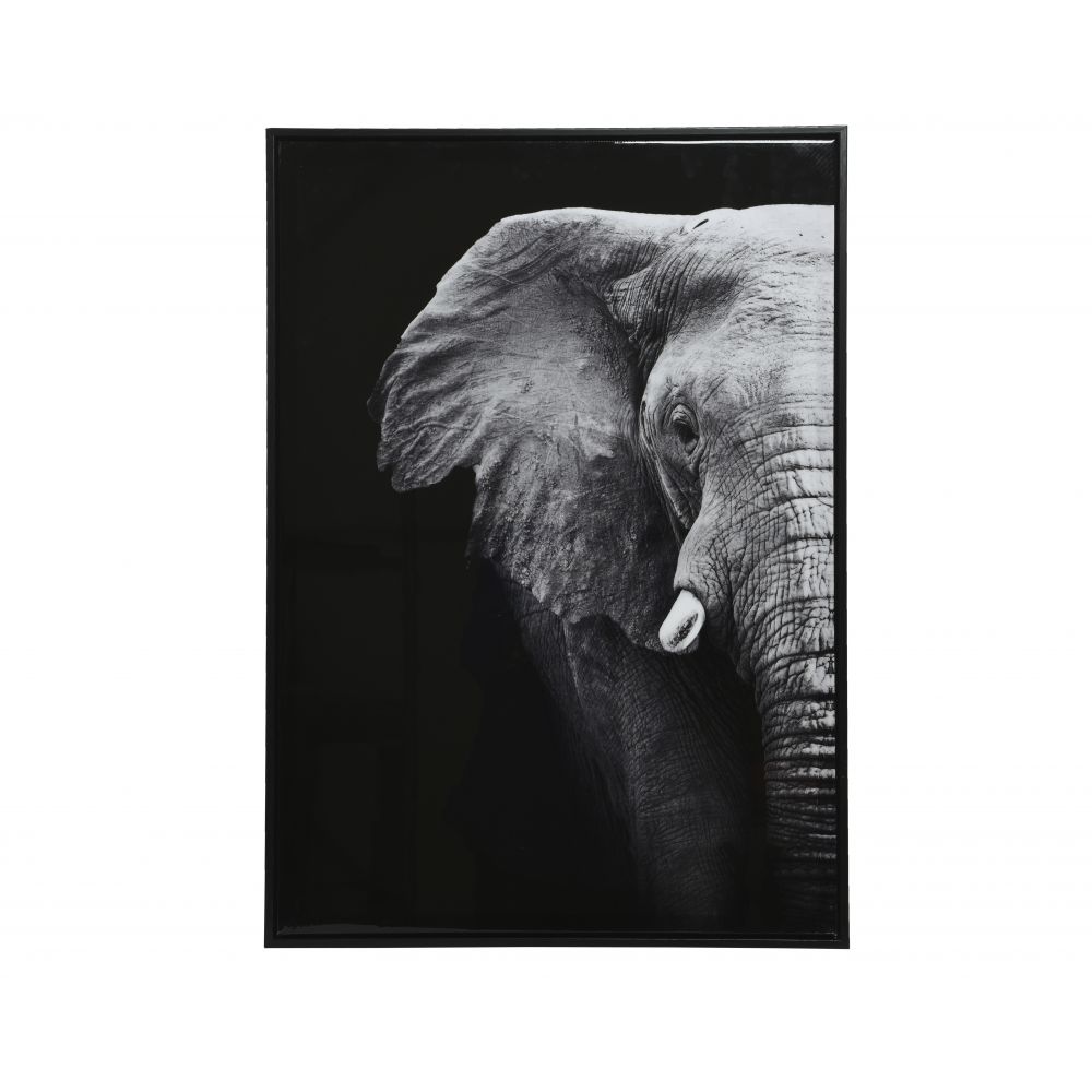 Slika SLON 53x73x3.5cm | Pevex