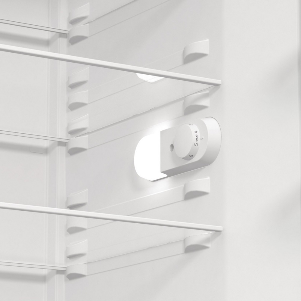 Samostojeći hladnjak GORENJE R619FES5 | Pevex