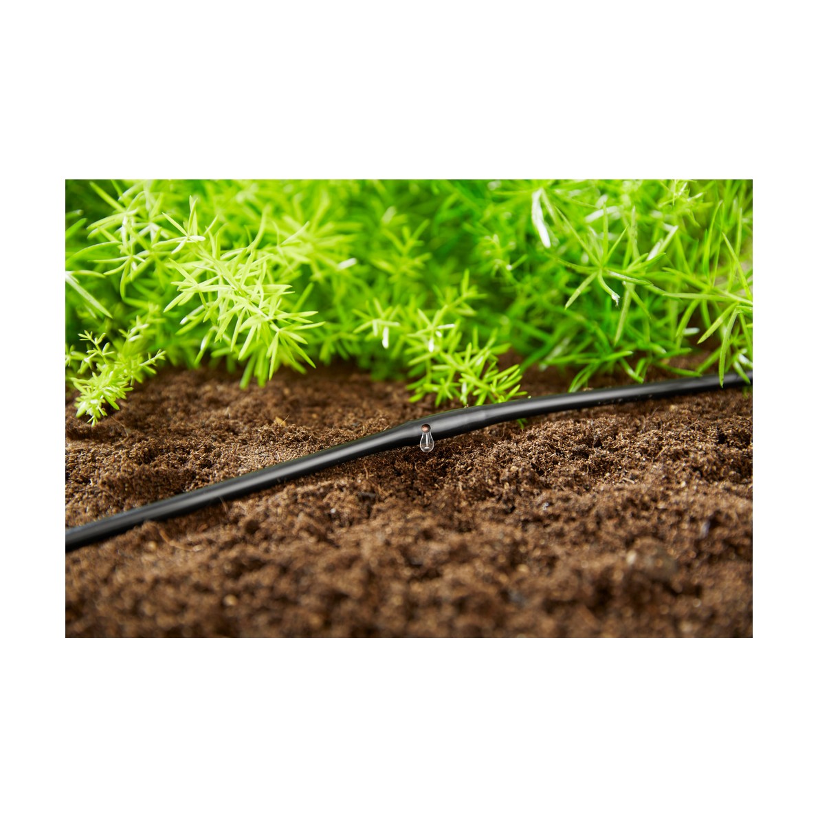 Navodnjavanje kap po kap Gardena cijev za nadzemno navodnjavanje 4,6 mm ...