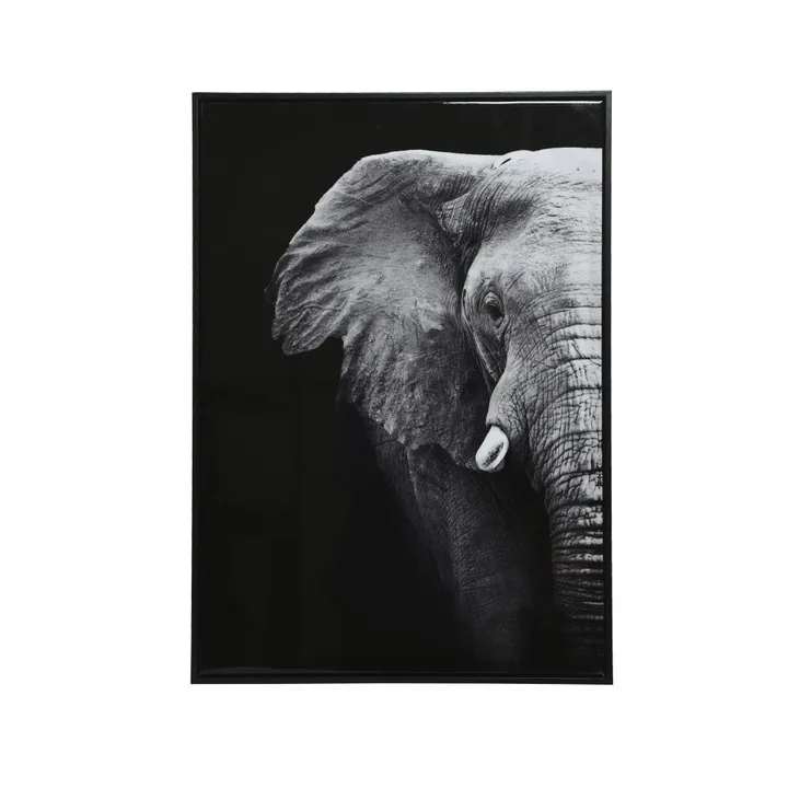 Slika SLON 53x73x3.5cm | Pevex